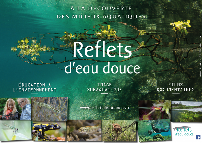 L'association Reflets d'eau douce